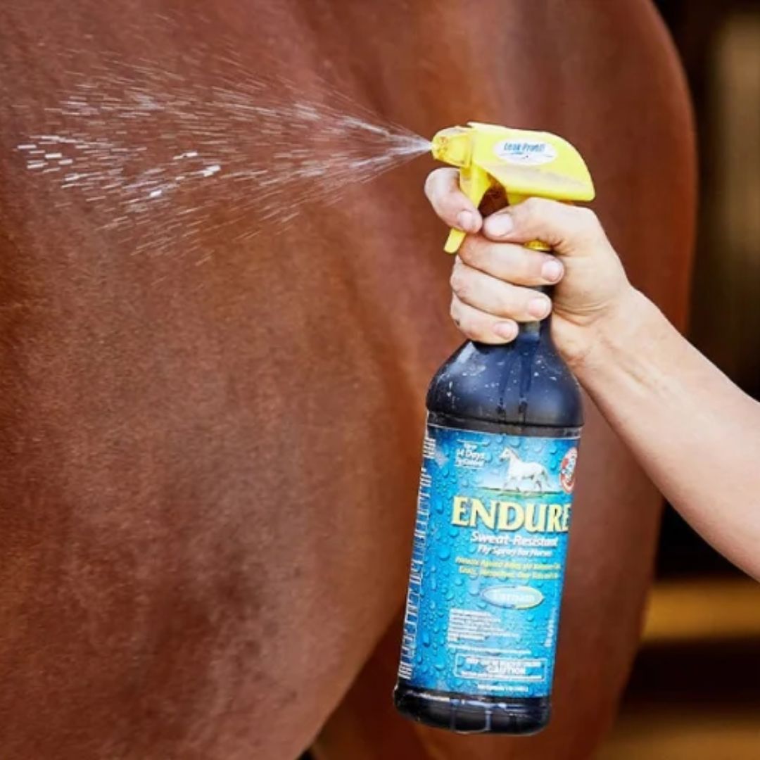 Fly Control – The Tackeria