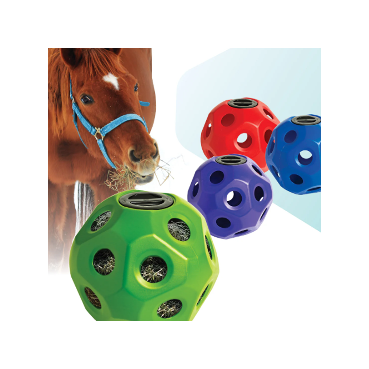 Slow Feed Hay Ball Large – The Tackeria